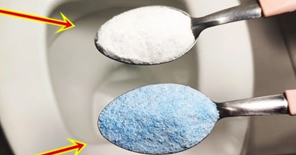 Zastosuj ten hotelowy trik na skuteczne odświeżenie toalety. Idealnie ...